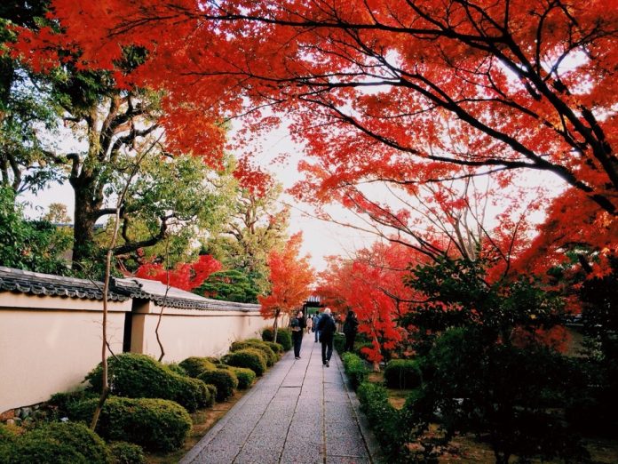 Top 5 Japanese gardens you must-see in Kyoto - Living + Nomads – Travel ...