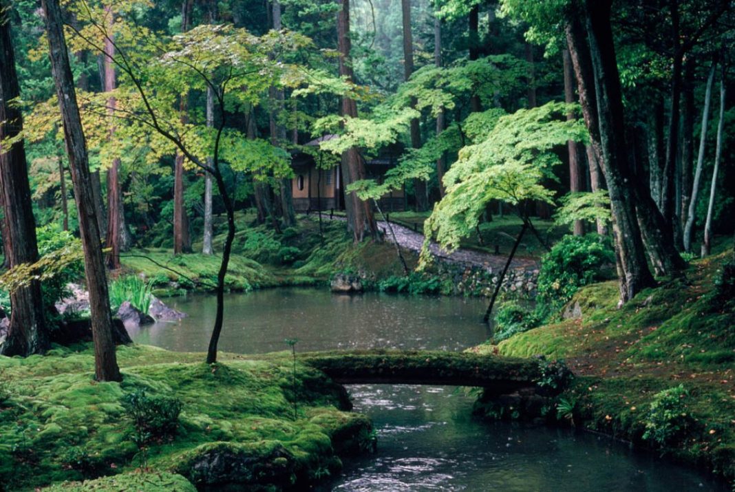 Japanese culture traditions — Explore 8 traditional Japanese cultural ...
