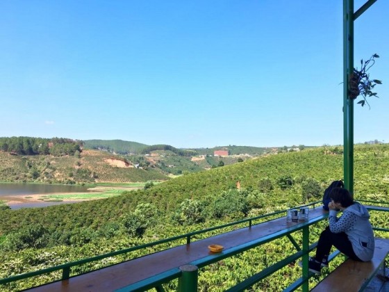 Melinh Coffee Garden — A wonderful view of Dalat - Living + Nomads ...