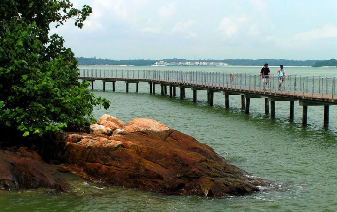 Pulau Ubin travel guide. The ultimate guide to the green island of ...