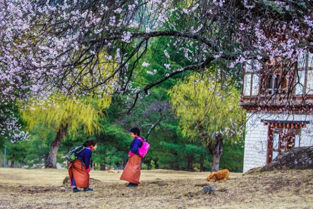 Bhutan photography tour — 21+ beautiful moments revealed the beauty of ...