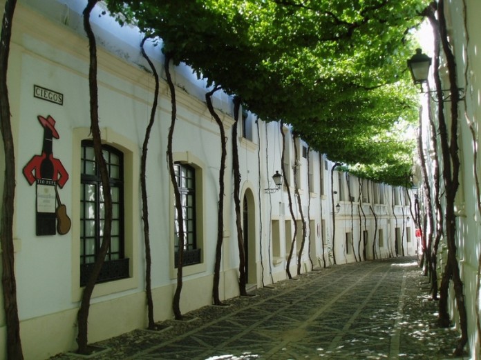 16 most beautiful spring alleys around the world - Living + Nomads ...