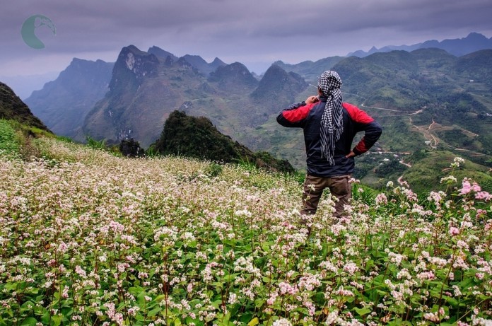 Ha Giang trip — Mysterious beauty of Ha Giang - Living + Nomads ...