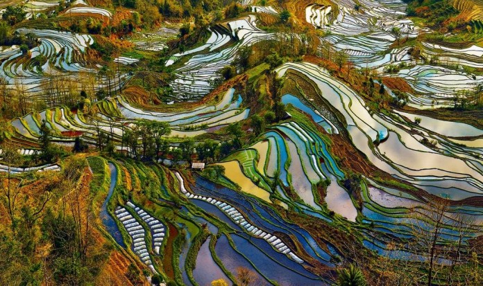 16+ Top Kunming attractions & must-see places in Kunming - Living ...