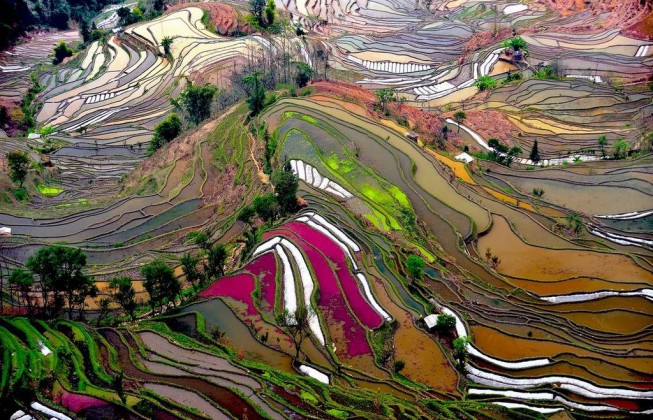 10+ stunning photos show spectacular rice terraces of Yuanyang - Living ...