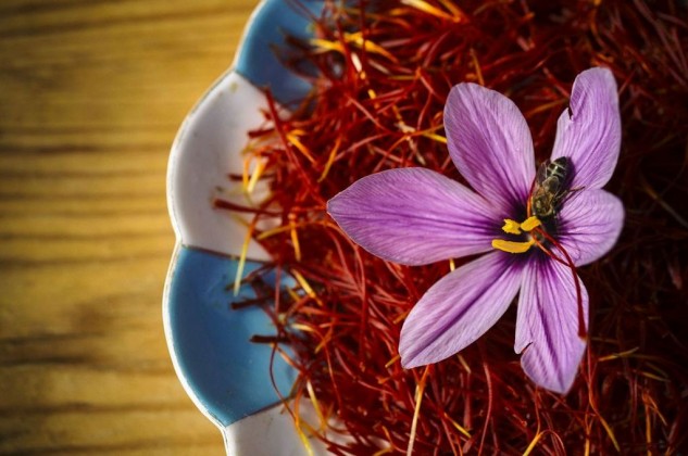 Taliouine saffron — An introduction of Moroccan saffron harvesting ...