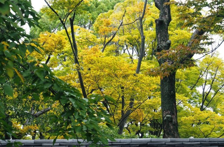 osaka weather climate best time to visit when to go 24 - Living ...