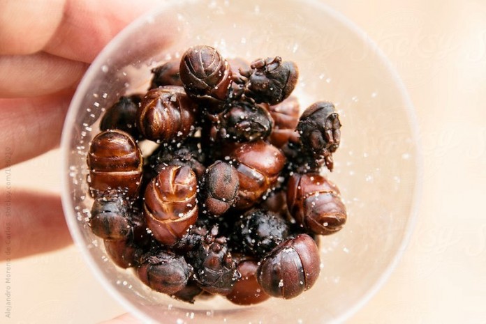 11 weirdest street foods around the world - Living + Nomads – Travel ...