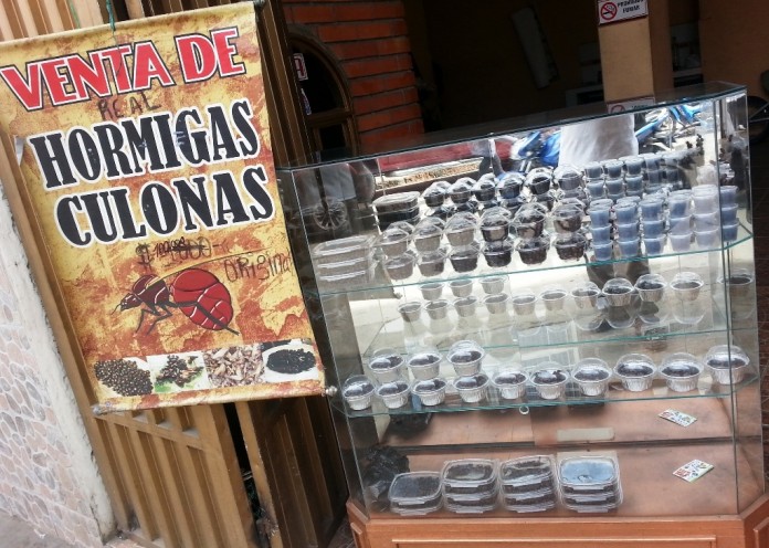 11 weirdest street foods around the world - Living + Nomads – Travel ...