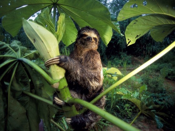 10 most dangerous natural places in the world - Living + Nomads ...