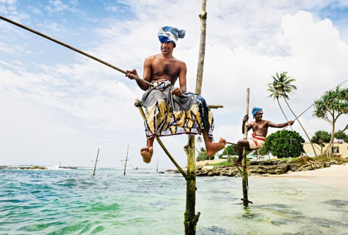 The art of fishing on stilts in Sri Lanka - Focus Asia and Vietnam ...