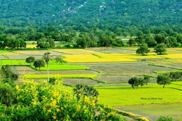 Top 10 famous places in An Giang province, Vietnam - Living + Nomads ...