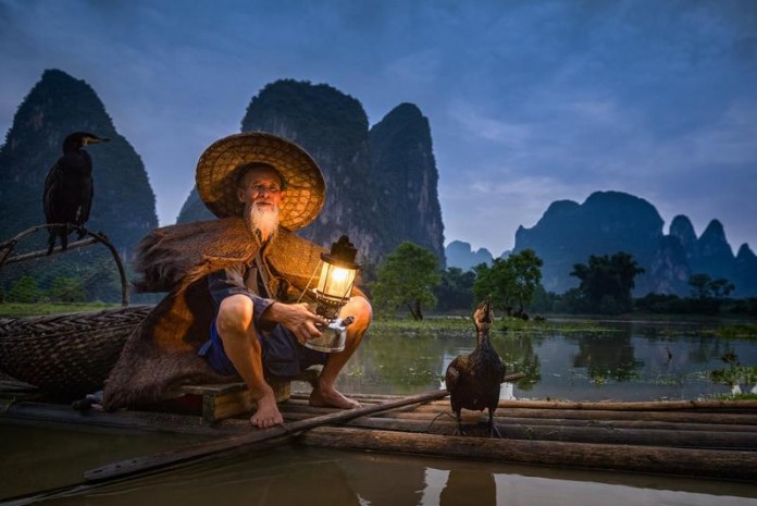Cormorant fishing Li river — Exploring the art of cormorant fishing in ...