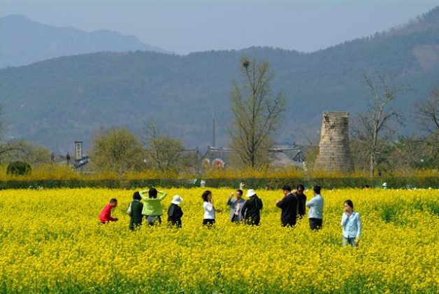 South Korea spring trip blog — A fantastic spring journey in South ...
