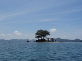 Tapik Palawan — Tread on a paradise of Palawan island - Living + Nomads ...