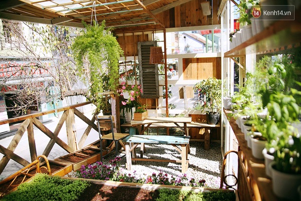 3 awesome Dalat cafe you should try - Living + Nomads – Travel tips ...