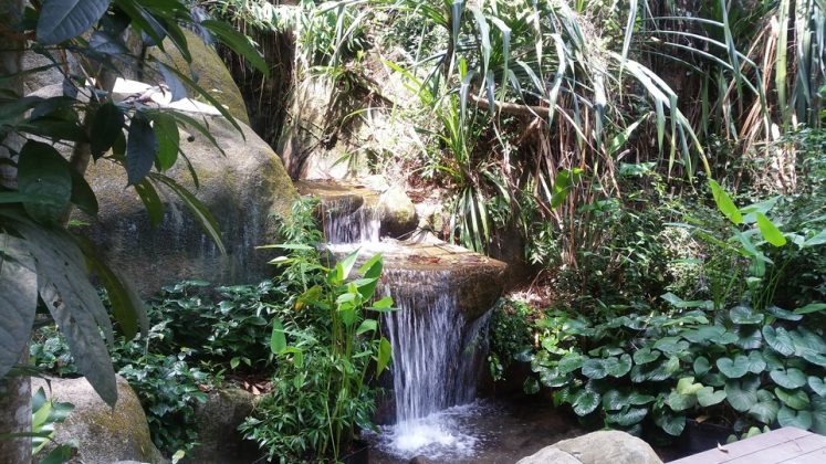 Where to go in Sentosa Island ? Top 12+ best places to visit in Sentosa ...