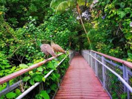 Sentosa island blog — The fullest Sentosa travel guide for a great trip ...