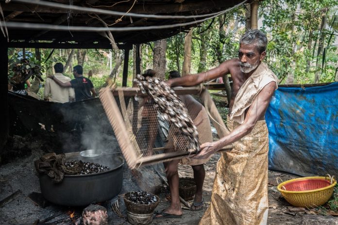 Kerala trip blog — An unique look at rustic everyday life in Kerala ...