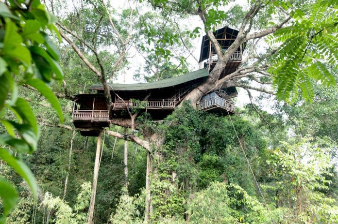 Explore Bokeo Nature Reserve — A ‘hidden paradise’ of Laos - Focus Asia ...