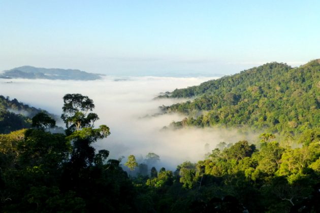 Explore Bokeo Nature Reserve — A 'hidden paradise' of Laos - Living ...