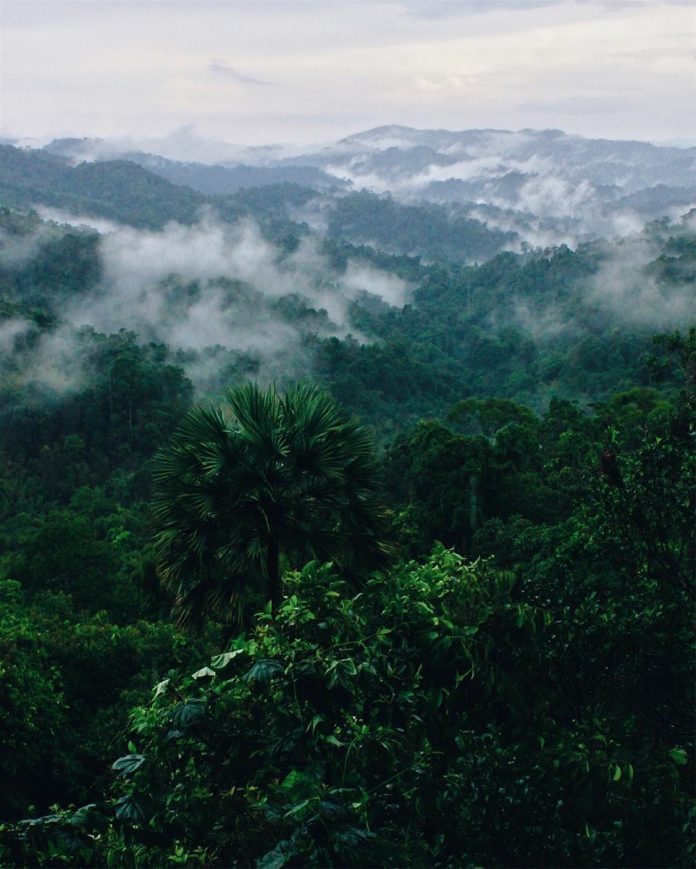 Explore Bokeo Nature Reserve — A ‘hidden paradise’ of Laos - Focus Asia and Vietnam Travel & Leisure