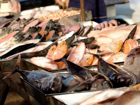 20+ beautiful photos show the beauty of Malta – The island nation ...