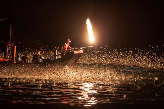 Exploring the art of fire fishing in Taiwan - Focus Asia and Vietnam ...