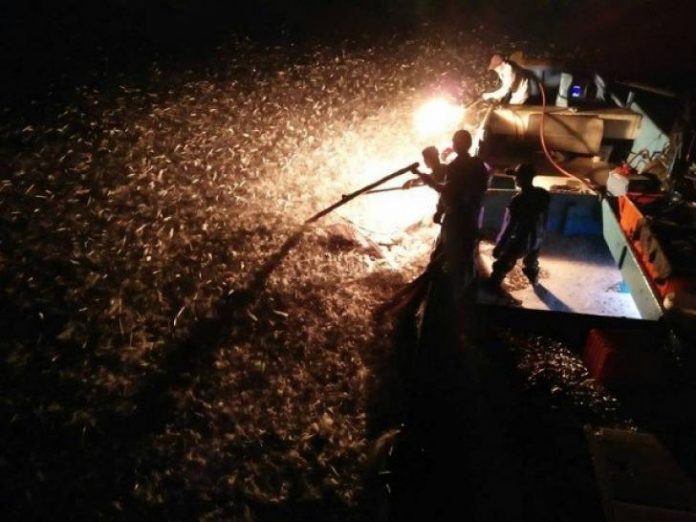 Exploring the art of fire fishing in Taiwan - Focus Asia and Vietnam ...