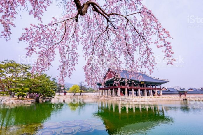 South Korea spring trip blog — A fantastic spring journey in South ...