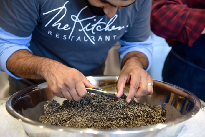 Caviar guide — 10 Carviar facts you should know - Living + Nomads ...