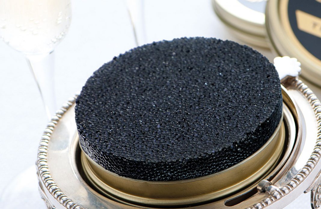 Caviar guide — 10 Carviar facts you should know - Living + Nomads ...