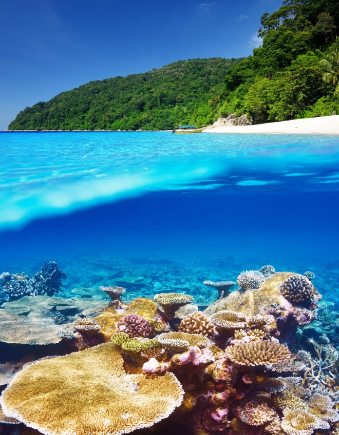 Perhentian Islands travel guide — The ultimate guide & suggested how to ...