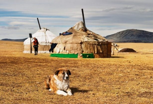 10+ photos show the peaceful of Mongolian life in the steppes - Living ...