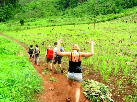 Pai day trip — What to do & how to spend one day in Pai Thailand ...