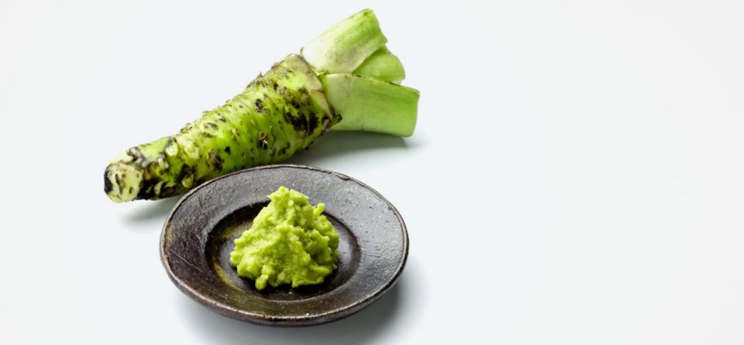 wasabi how to make how to grow wasabi dish history origin wasabi (13 ...