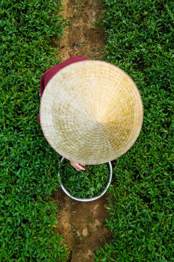 10+ portraits pictures show the simple beauty of Vietnamese people by ...