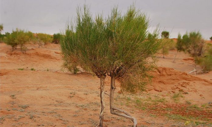 Mongolia travel blog — Explore the life of Mongolian nomads in the ...