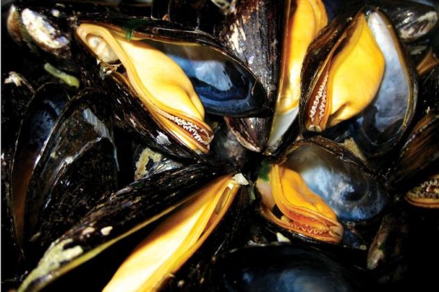 Mosselen Festival Zeeland — Evoking the Senses at the Zeeland Mussel ...