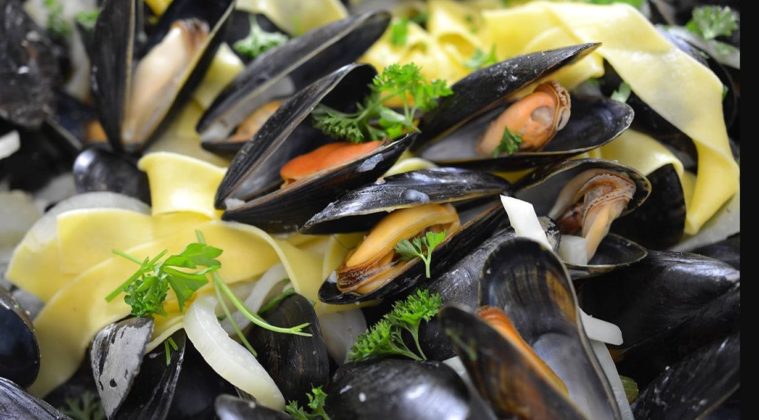 Mosselen Festival Zeeland — Evoking the Senses at the Zeeland Mussel ...