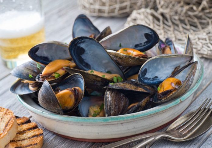 Mosselen Festival Zeeland — Evoking the Senses at the Zeeland Mussel ...