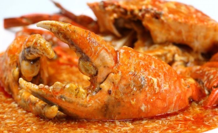 Singapore Chilli Crab — Best food which you must-try in Singapore ...