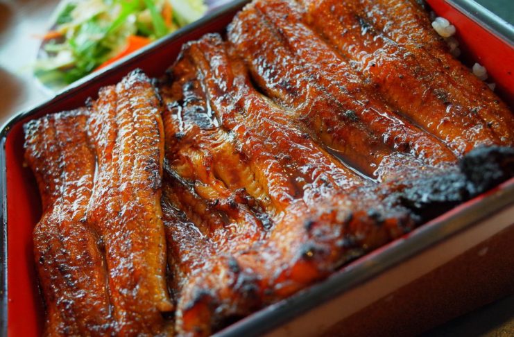 unagi eel japan how to cook unagi unagi sauce (12) - Living + Nomads ...