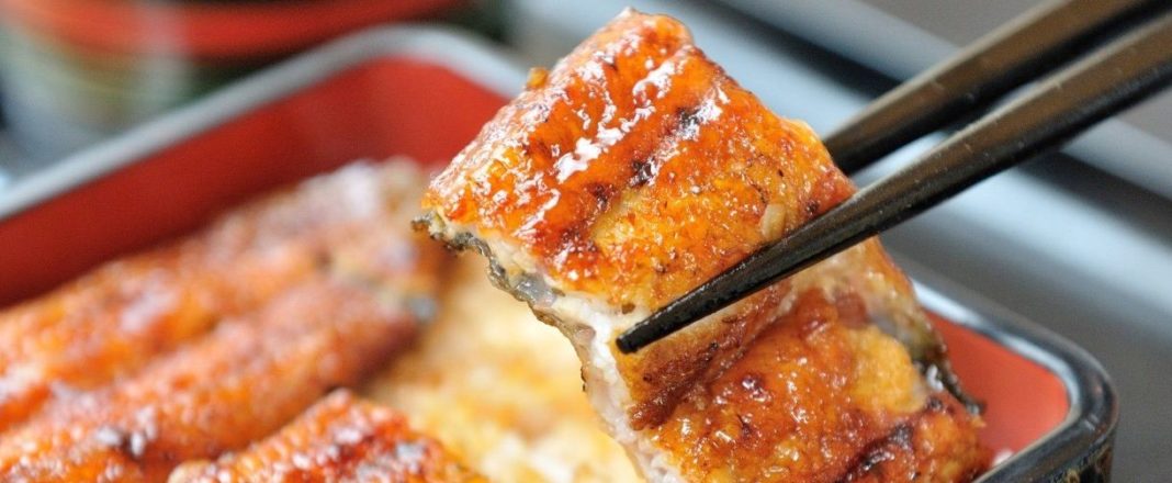 Tasting Unagi (eel) — One of the most favorite foods in Japan - Living ...