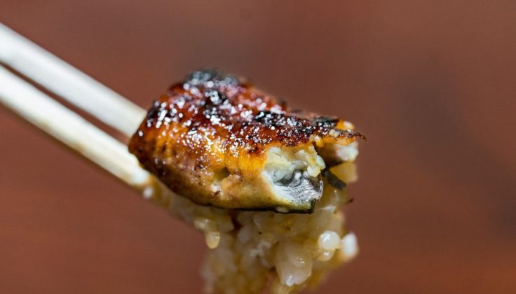 Tasting Unagi (eel) — One of the most favorite foods in Japan - Living ...