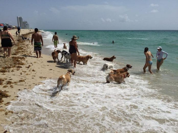 11 Nude Beaches That You Should Pay A Visit At Least Once In A Lifetime