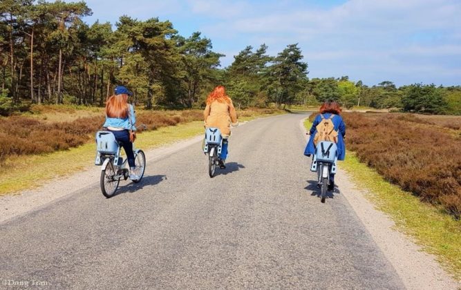 Why you should visit the Netherlands? — Top 7 best experiences & fun ...