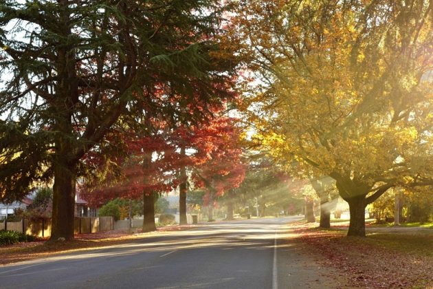Top 5 most beautiful fall foliage destinations in Asia & Australia ...