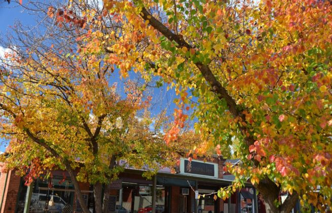 Top 5 most beautiful fall foliage destinations in Asia & Australia ...