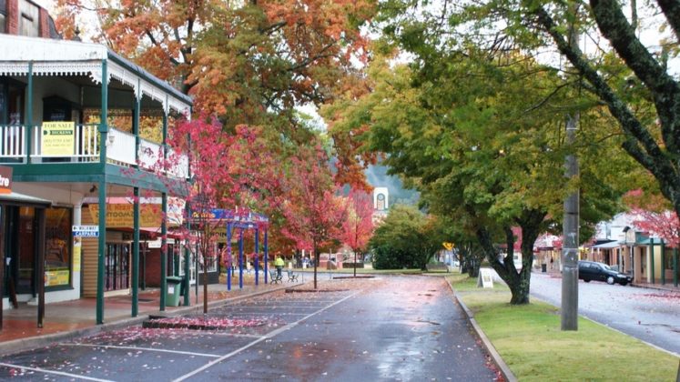 Top 5 most beautiful fall foliage destinations in Asia & Australia ...